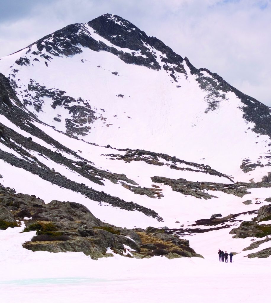 LTER Niwot Ridge LTER