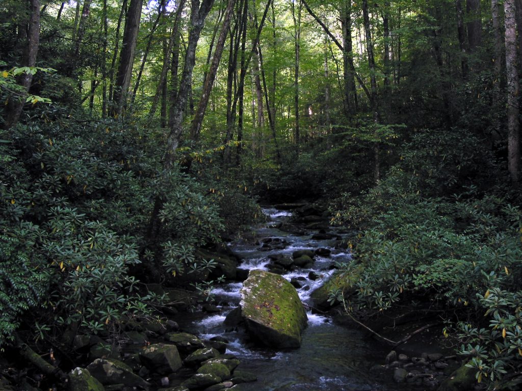 Climate Change and Habitat - LTER