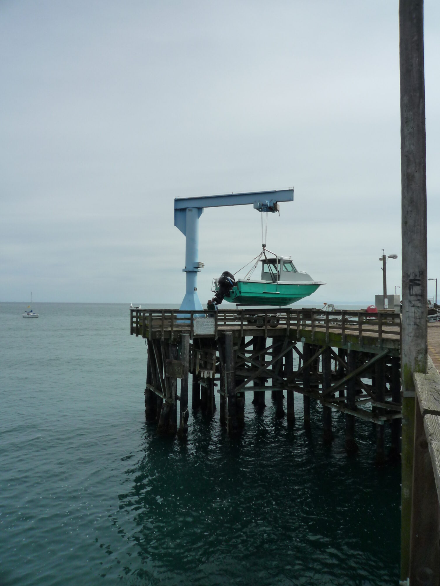Kelp forest boot camp - LTER