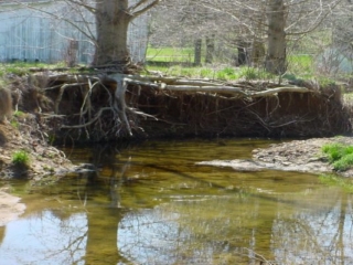 LTER Baltimore Ecosystem Study