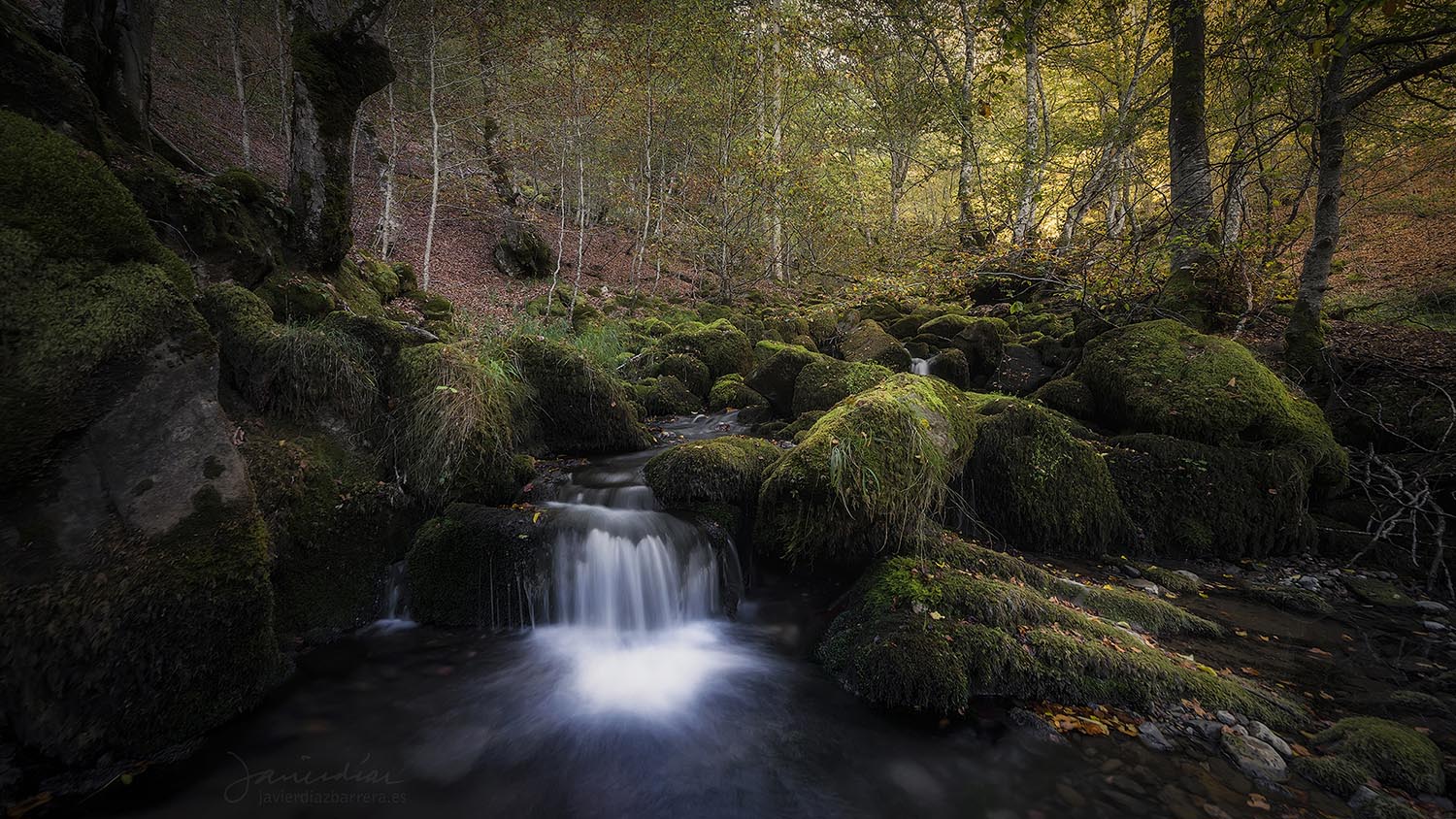 The Joint Conference on Forests and Water - LTER
