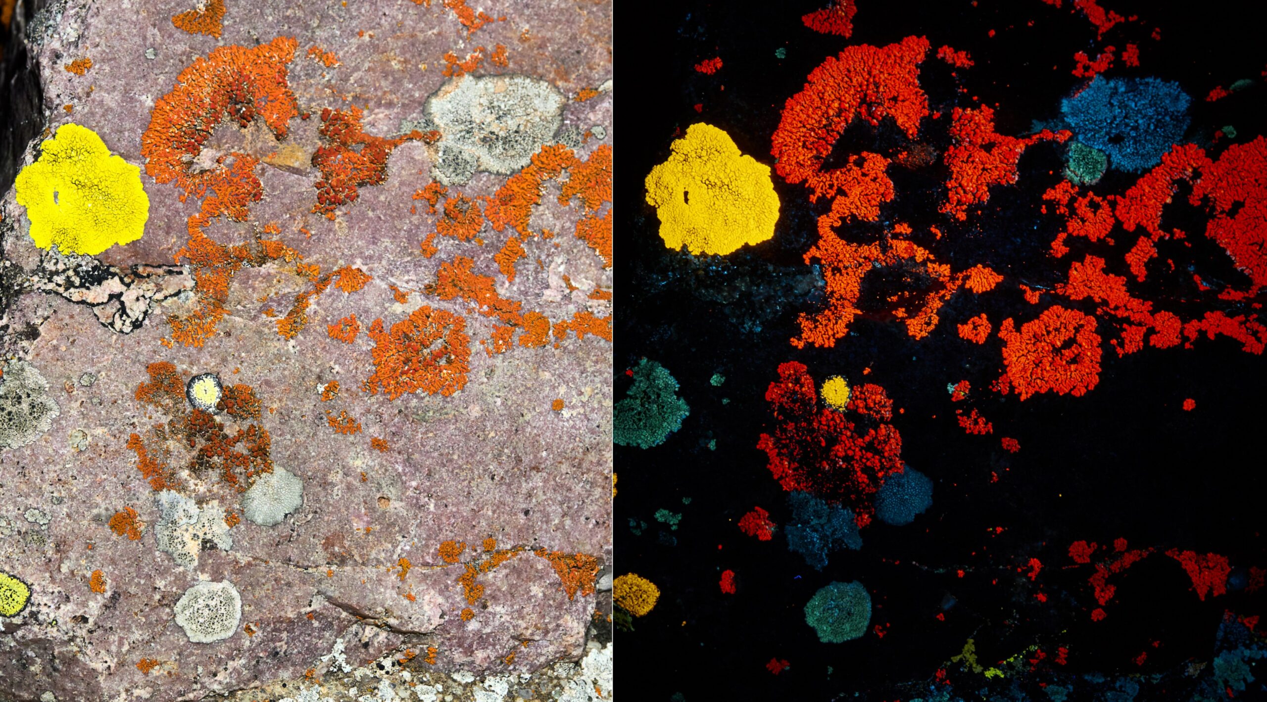 Illustrating three unexpected lessons we learned whilst studying ...