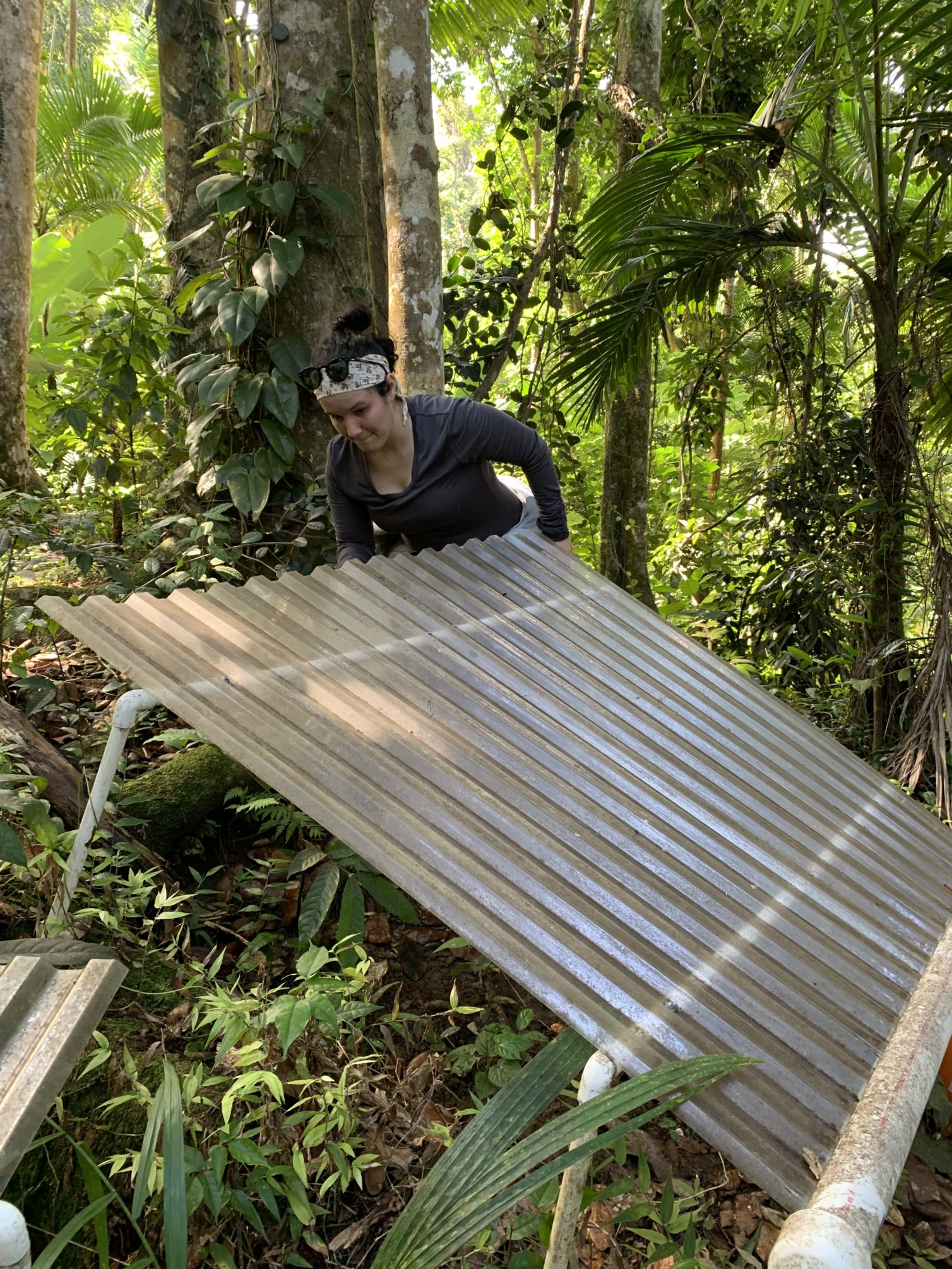 Key Findings Archive - LTER