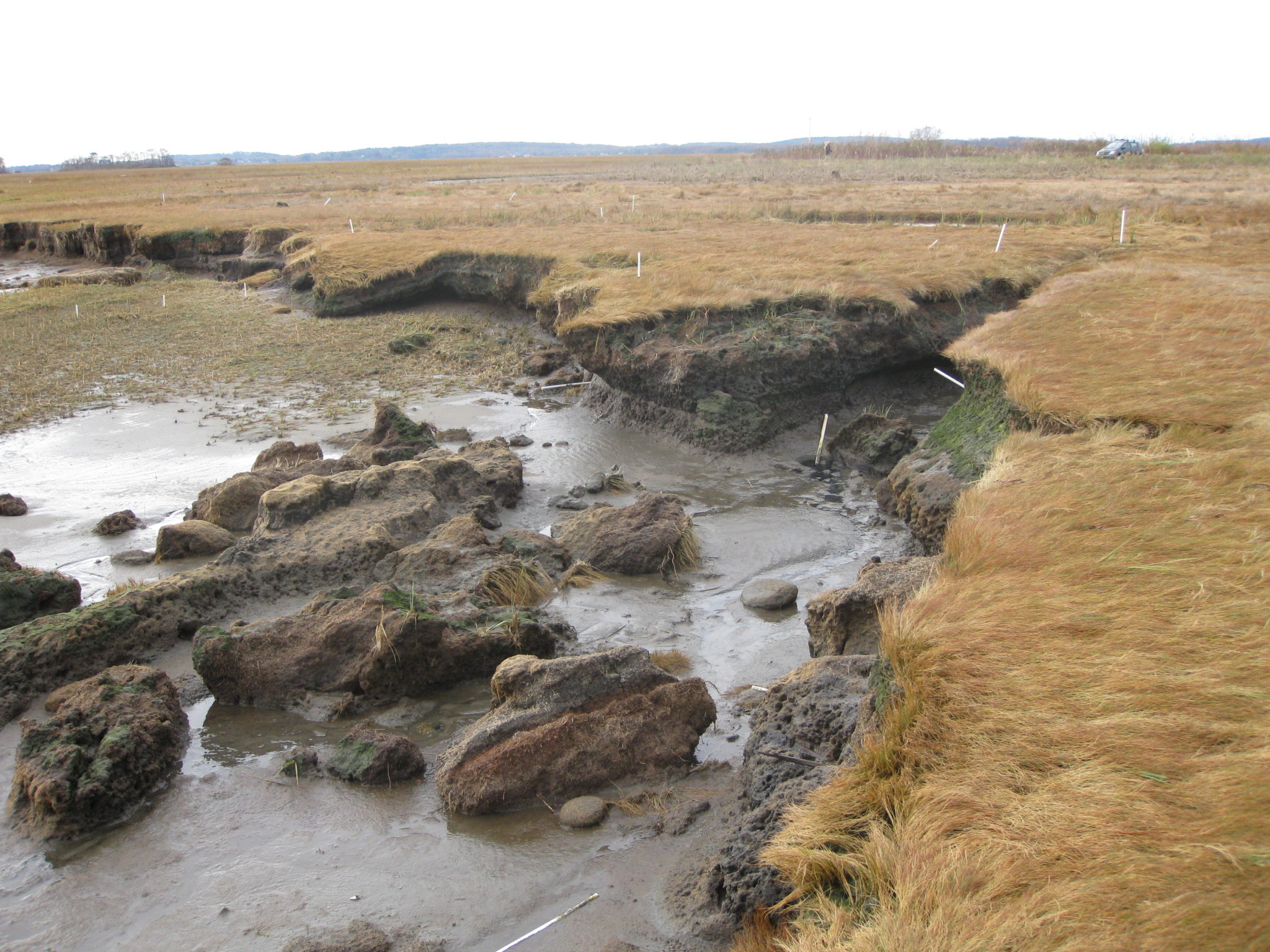 Sea-level Rise and Storms are Altering Salt Marshes - LTER