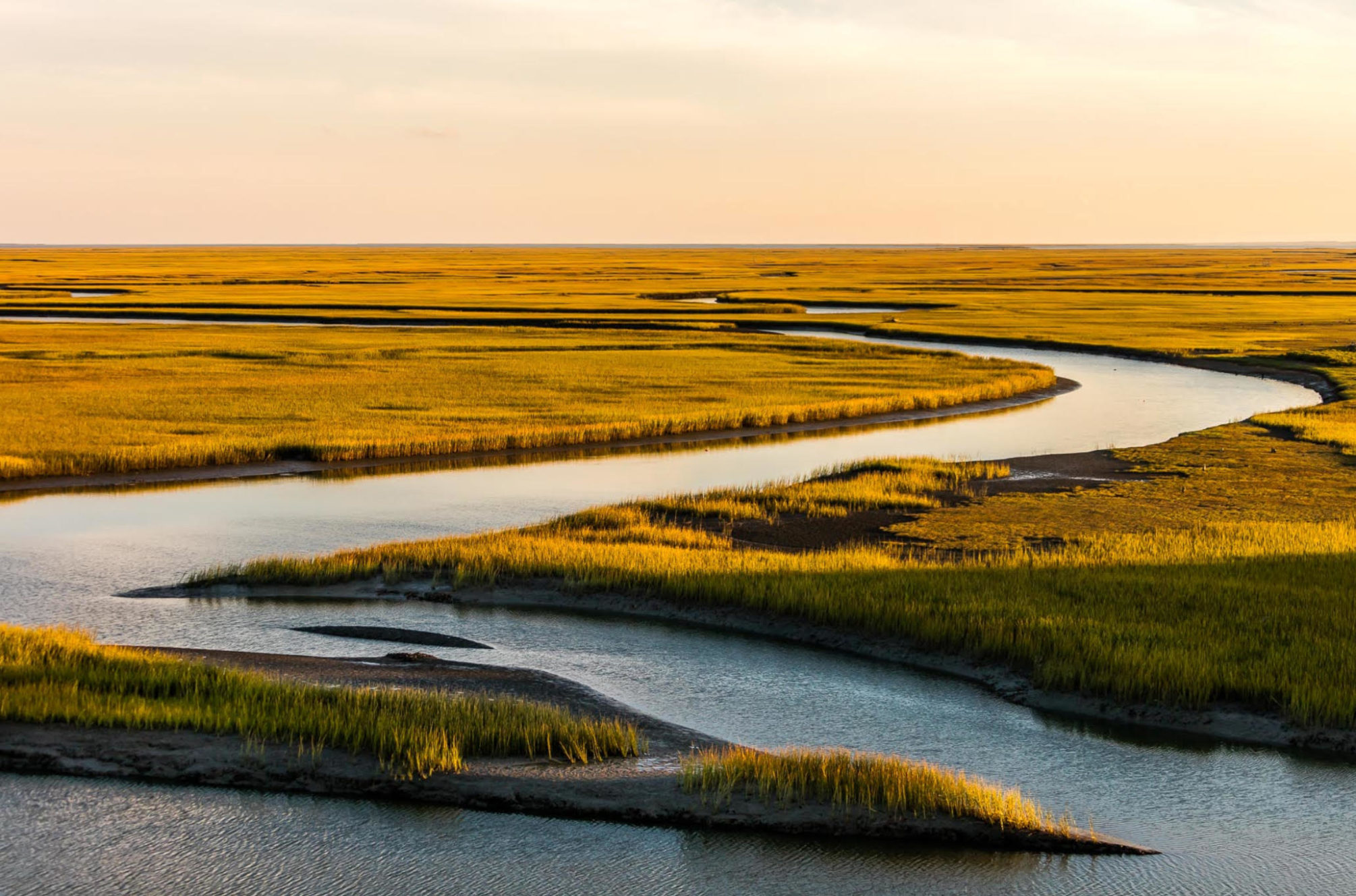 Virginia Coast Reserve LTER - LTER