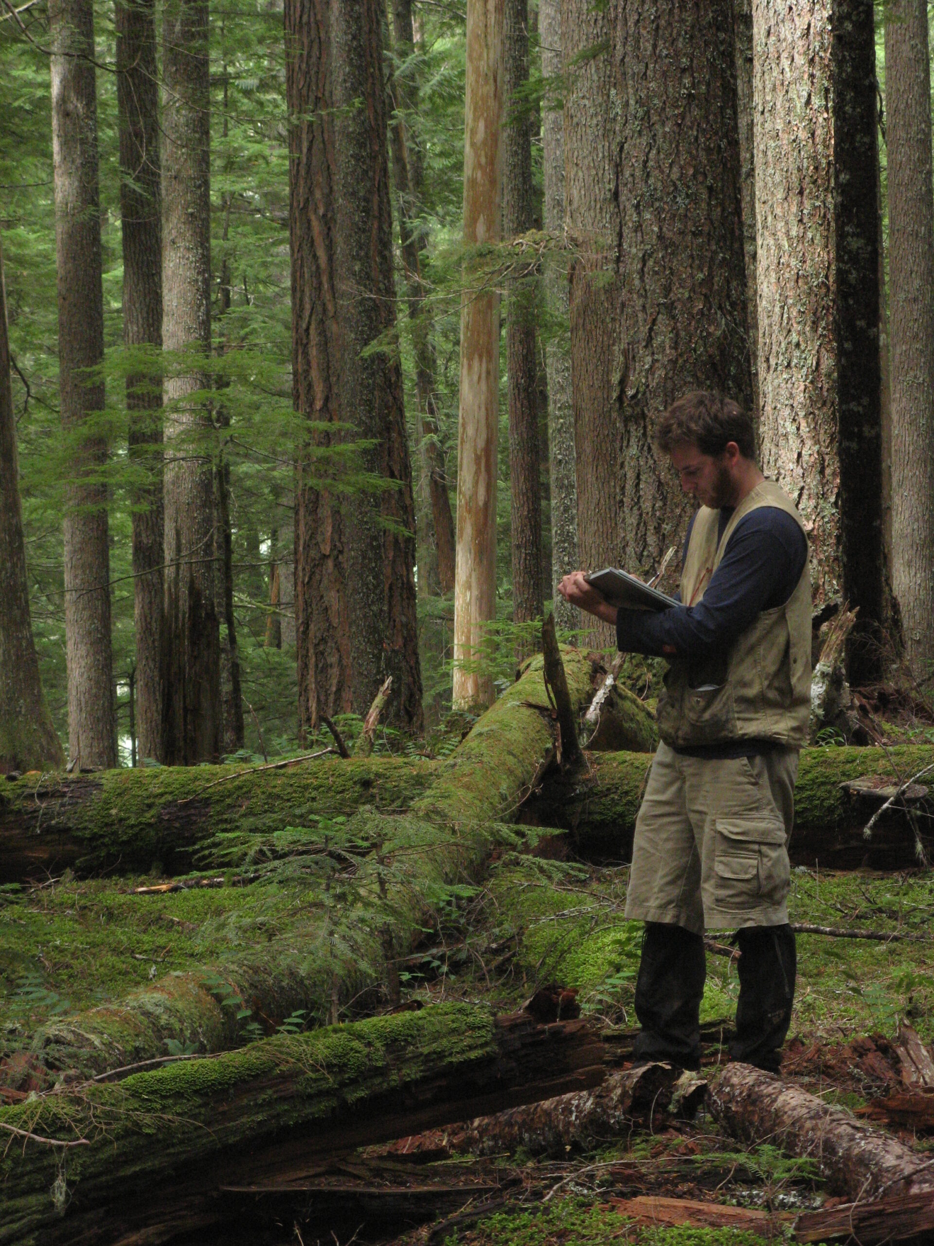 Trees know their neighbors – and respond differently when they die - LTER