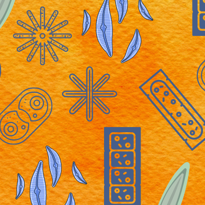 Using LTER Data - LTER