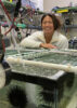 New DataNugget: Do urchins flip out in hot water? - LTER